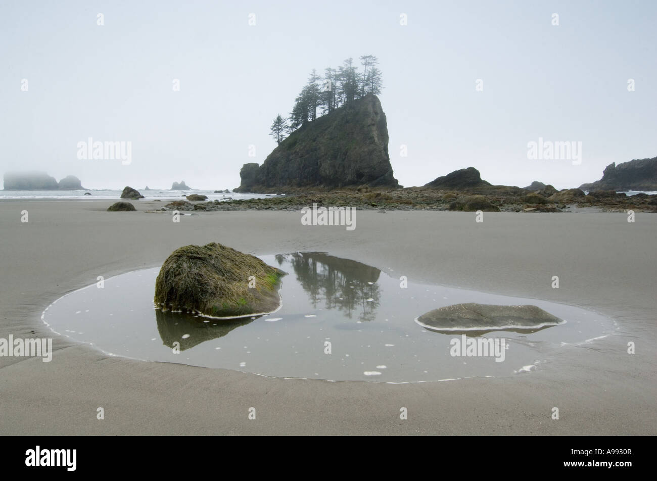 Olympic National Park, WA, USA, Low Tide on Pacific Coast near La Push ...