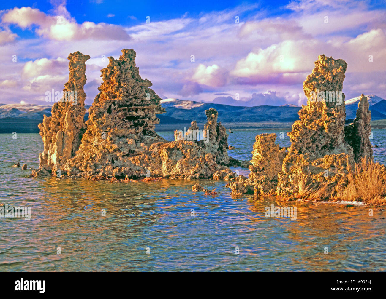 Mono Lake in California USA showing tufa Stock Photo - Alamy