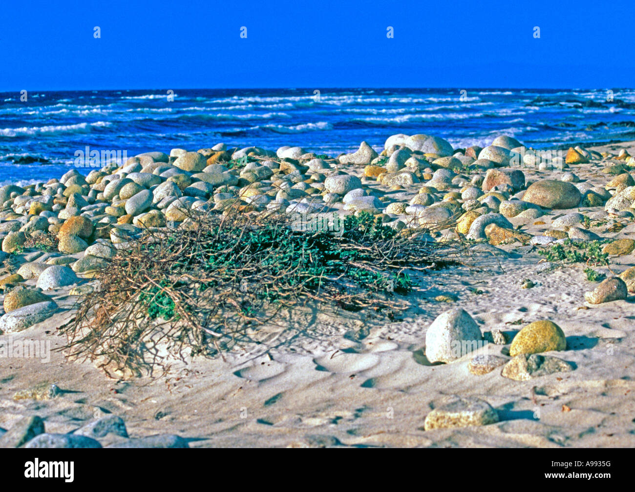pebbles at Pebble Beach Carmel California USA Stock Photo - Alamy