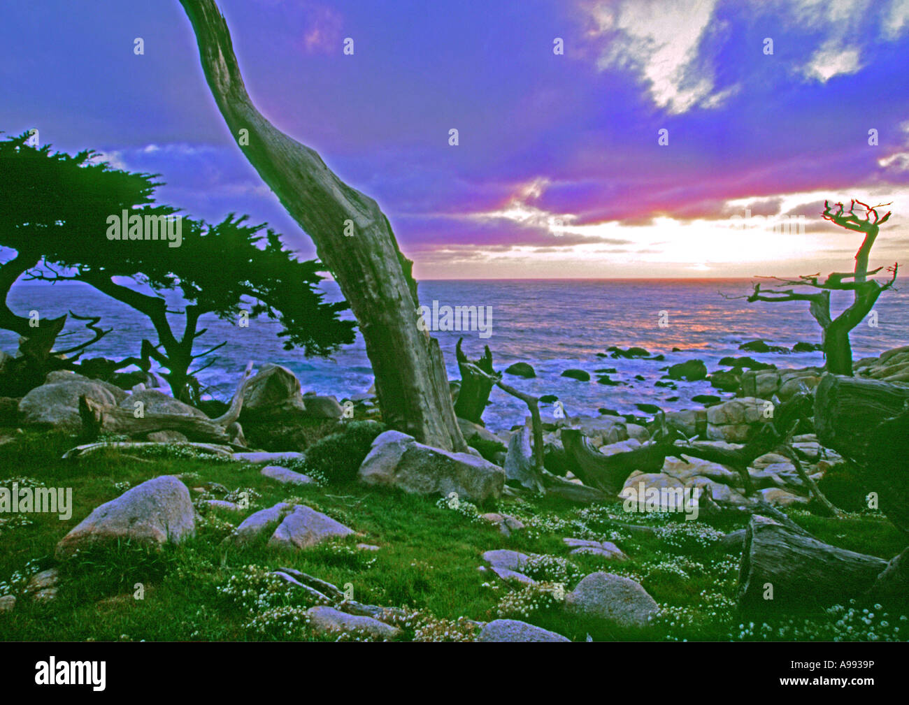 7 mile trail hi-res stock photography and images - Alamy