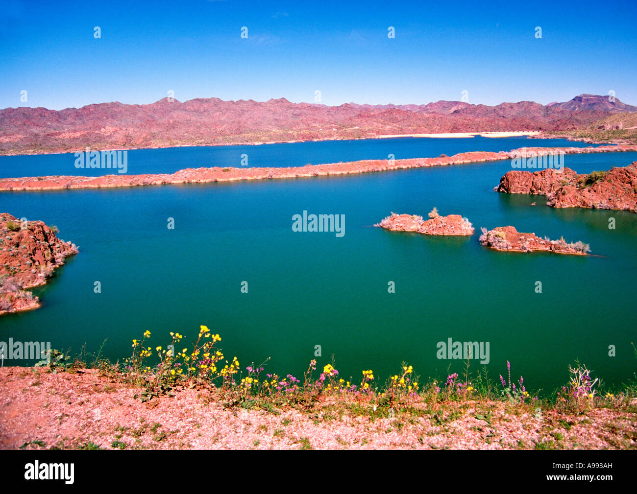 colorado river reservoir Stock Photo - Alamy