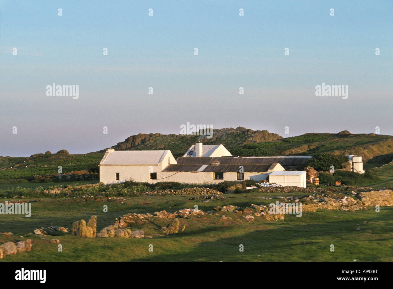 Accommodation on Skokholm Island nature reserve and Bird Observatory ...