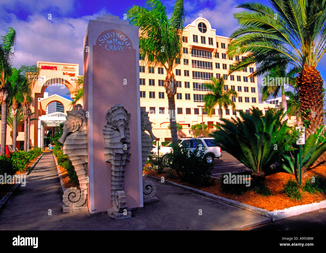 Sarasota Quay in downtown Sarasota, Florida, USA Stock Photo - Alamy