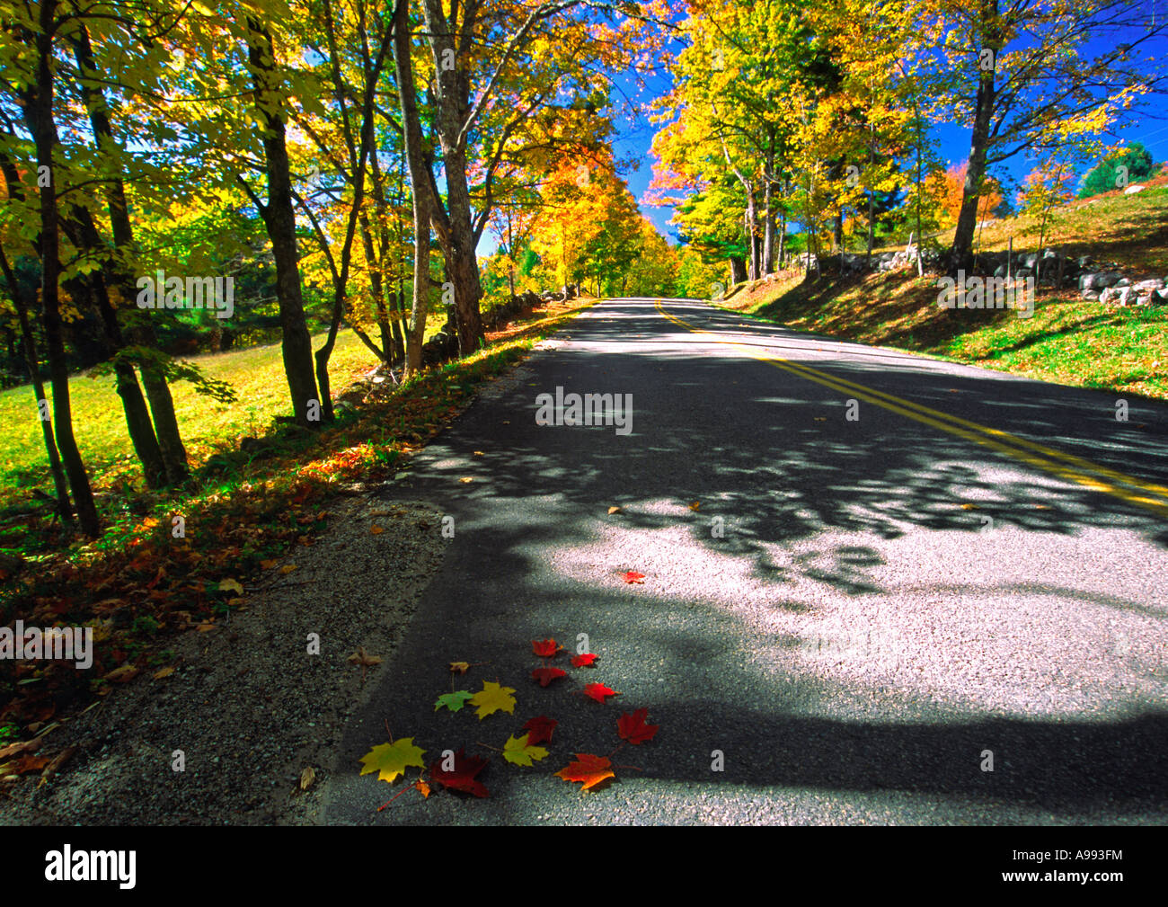 an autumn road in Vermont USA near East Orange VT Stock Photo - Alamy