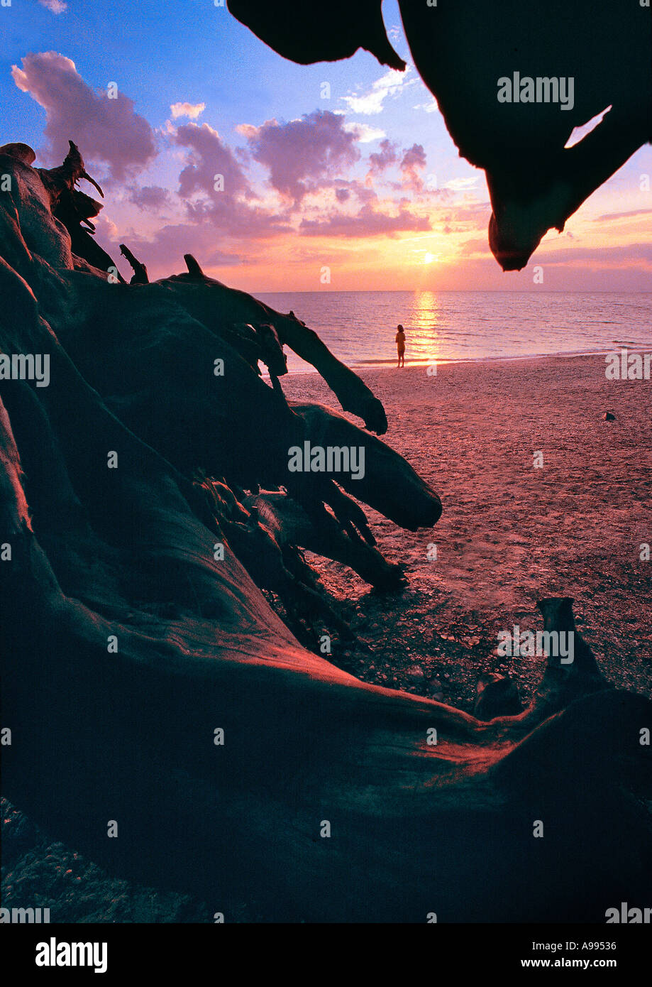 A person wading in the ocean as the sun sets in the background as seen ...