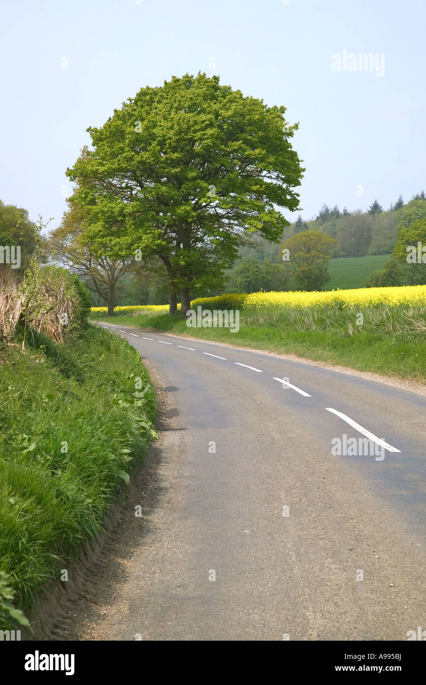 English road hi-res stock photography and images - Alamy