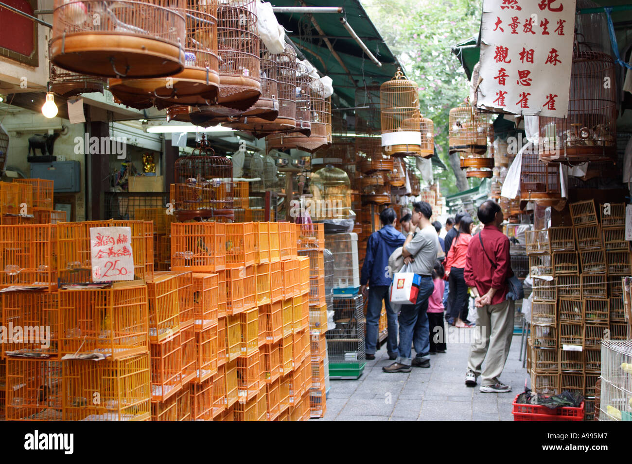 Yuen Po Street Bird Garden Market Mongkok Kowloon Hong Kong China Stock ...