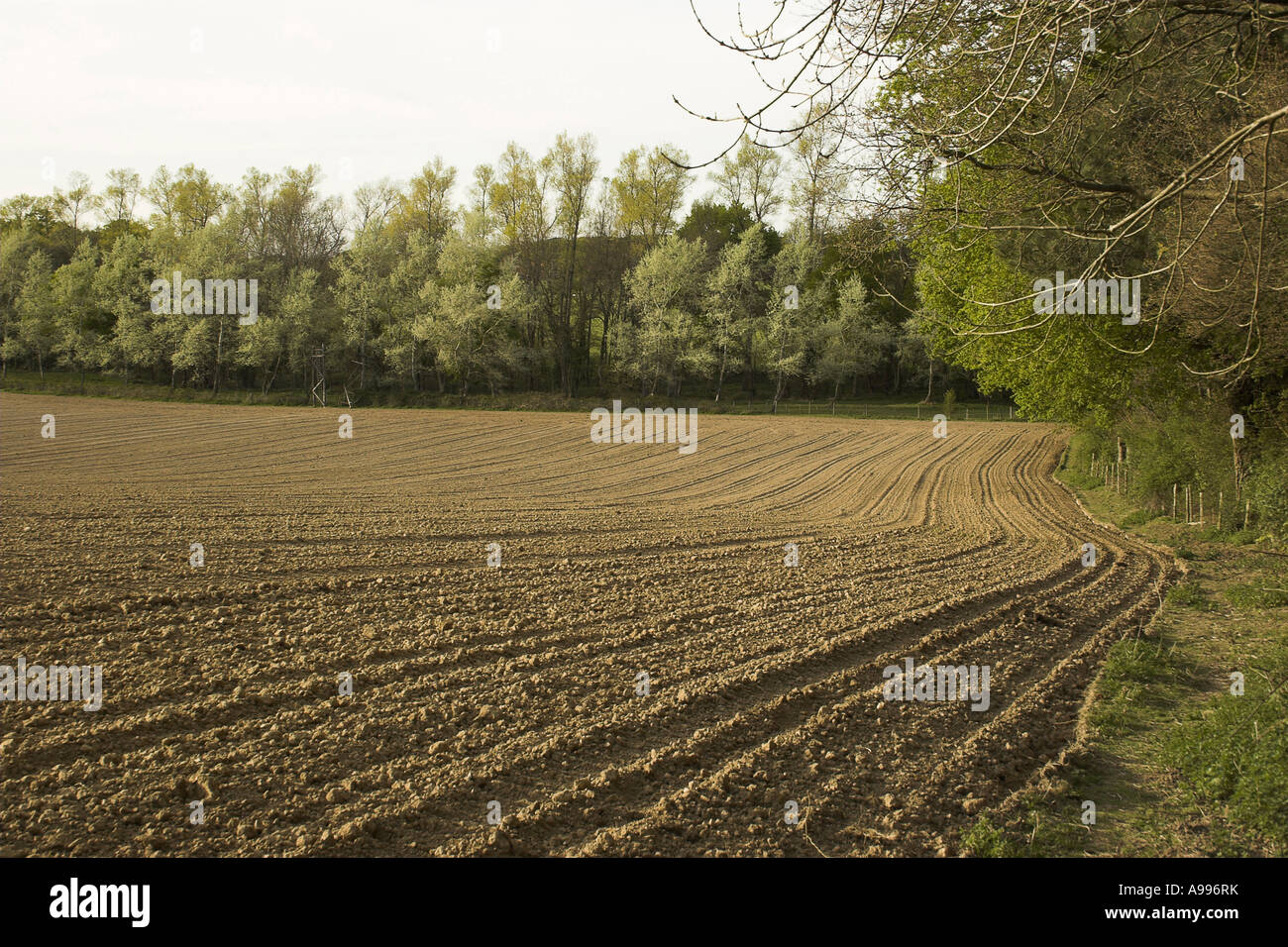 Newly ploughed field in early spring - West Sussex, England, UK Stock ...