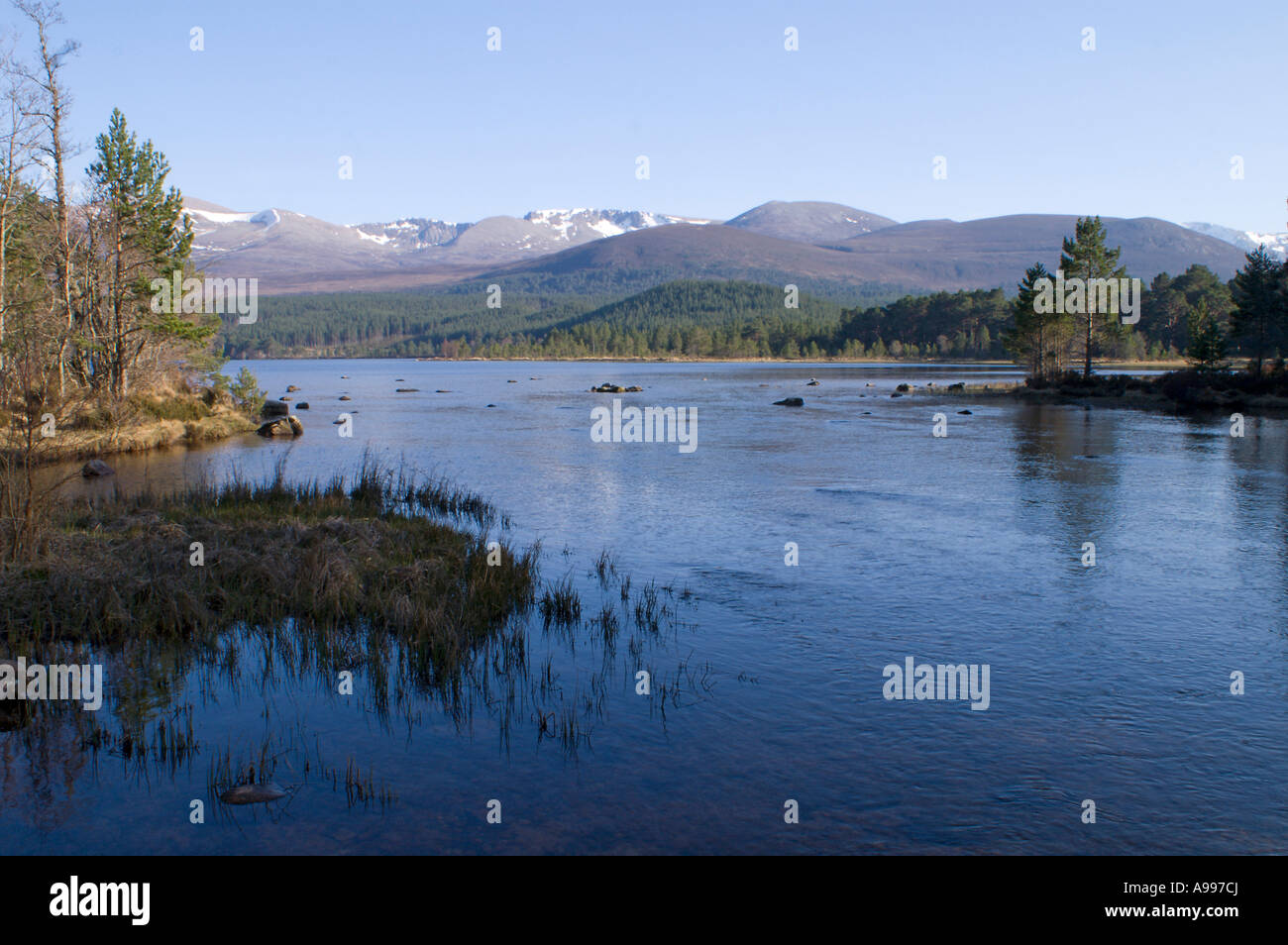 Loch Morlich Sailing High Resolution Stock Photography and Images - Alamy