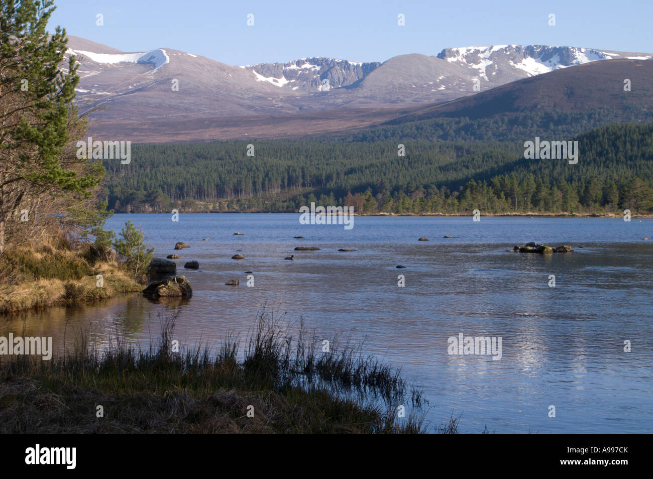 Loch morlich bridge hi-res stock photography and images - Alamy