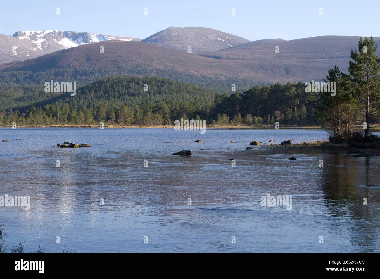 Loch morlich bridge hi-res stock photography and images - Alamy