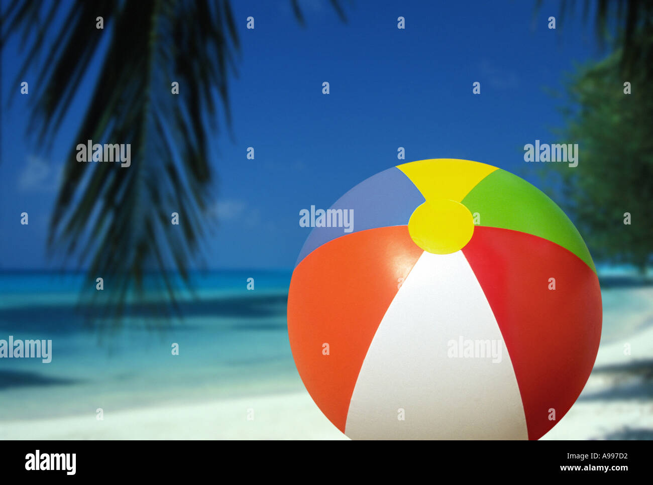 beach ball on tropical beach Maldives Stock Photo - Alamy