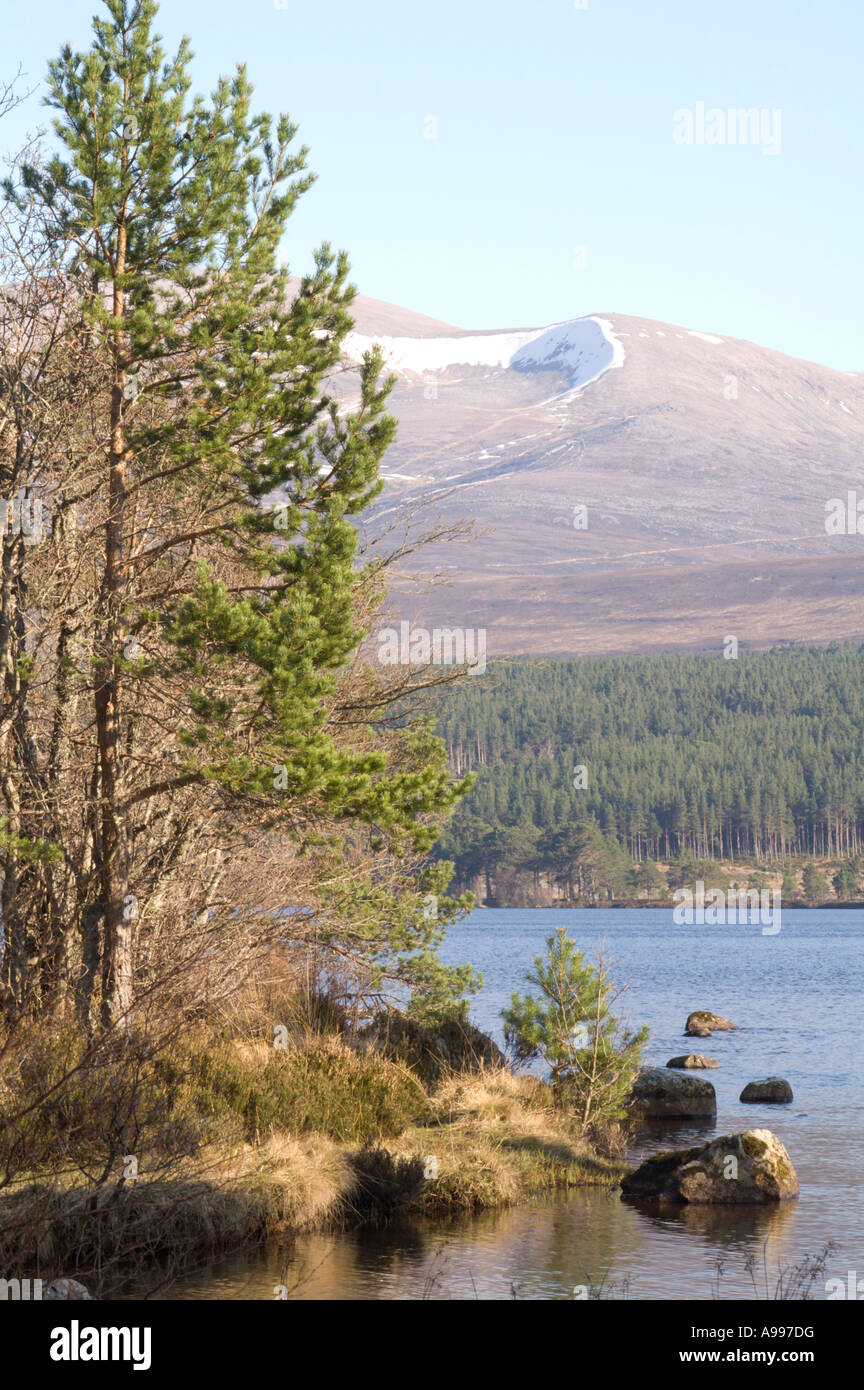 Water skiing and more lake hi-res stock photography and images - Alamy