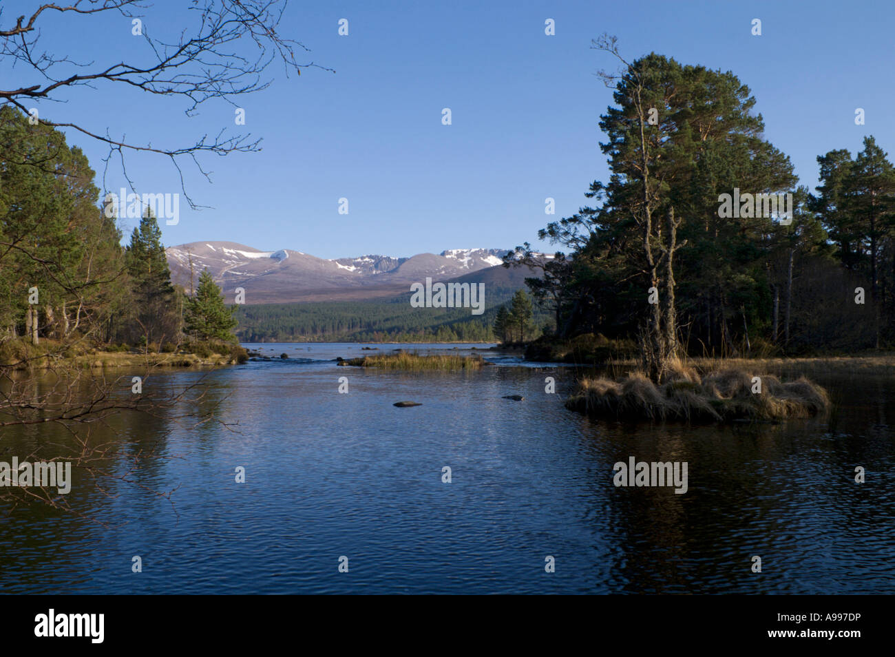Water skiing and more lake hi-res stock photography and images - Alamy