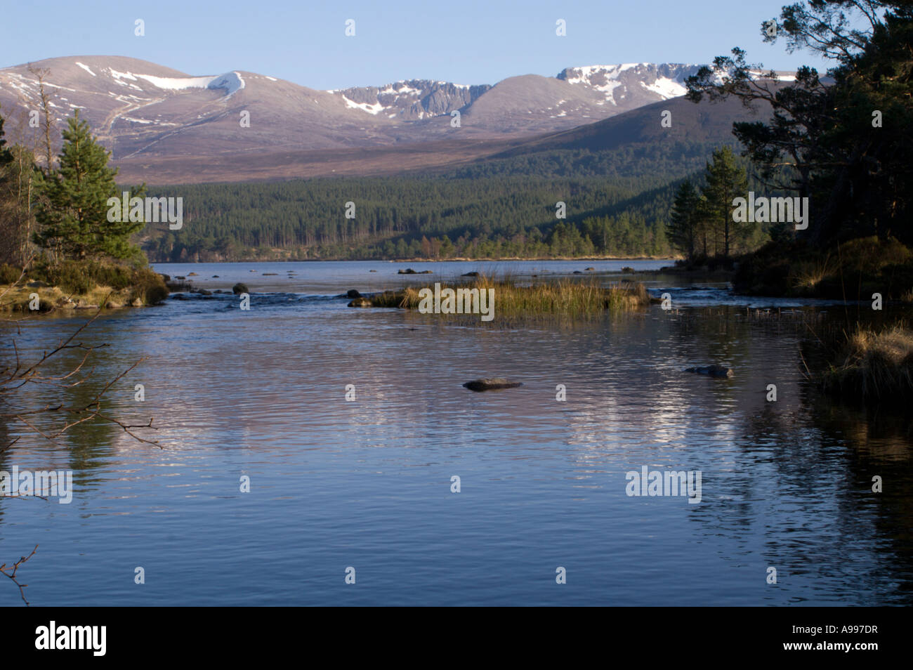 Water skiing and more lake hi-res stock photography and images - Alamy