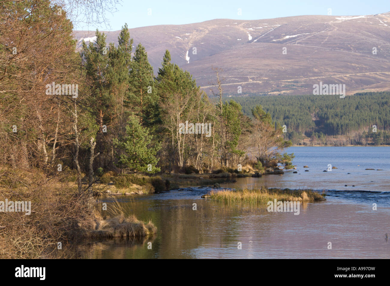 Loch morlich sailing hi-res stock photography and images - Alamy