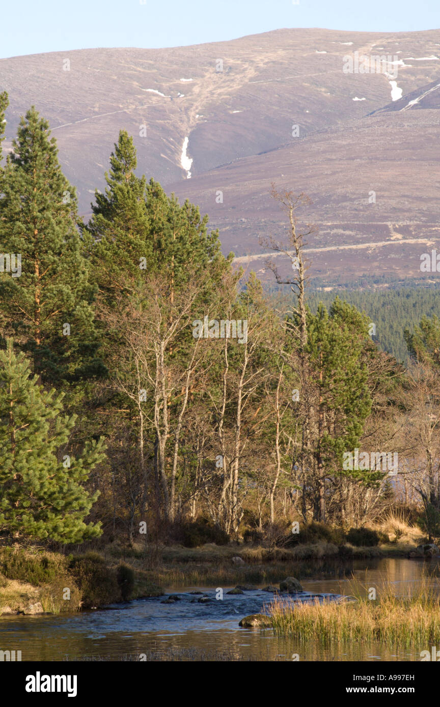 Water skiing and more lake hi-res stock photography and images - Alamy