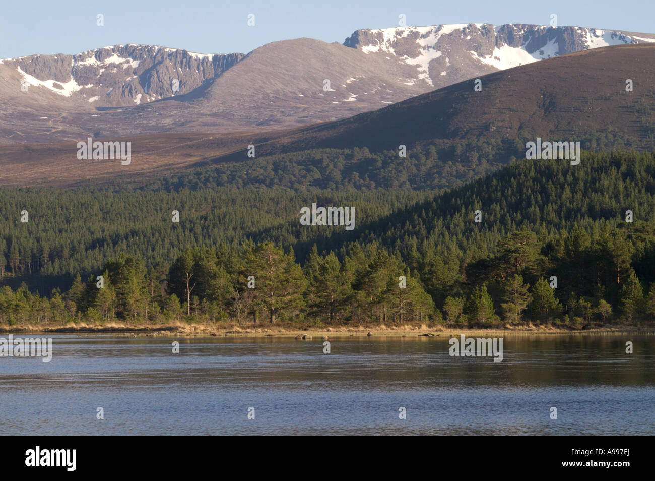 Water skiing and more lake hi-res stock photography and images - Alamy