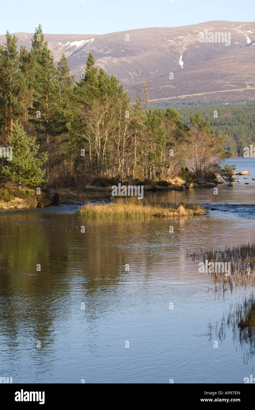 Loch Morlich Sailing High Resolution Stock Photography and Images - Alamy
