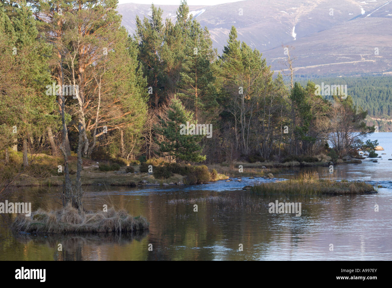 Coylembridge hi-res stock photography and images - Alamy