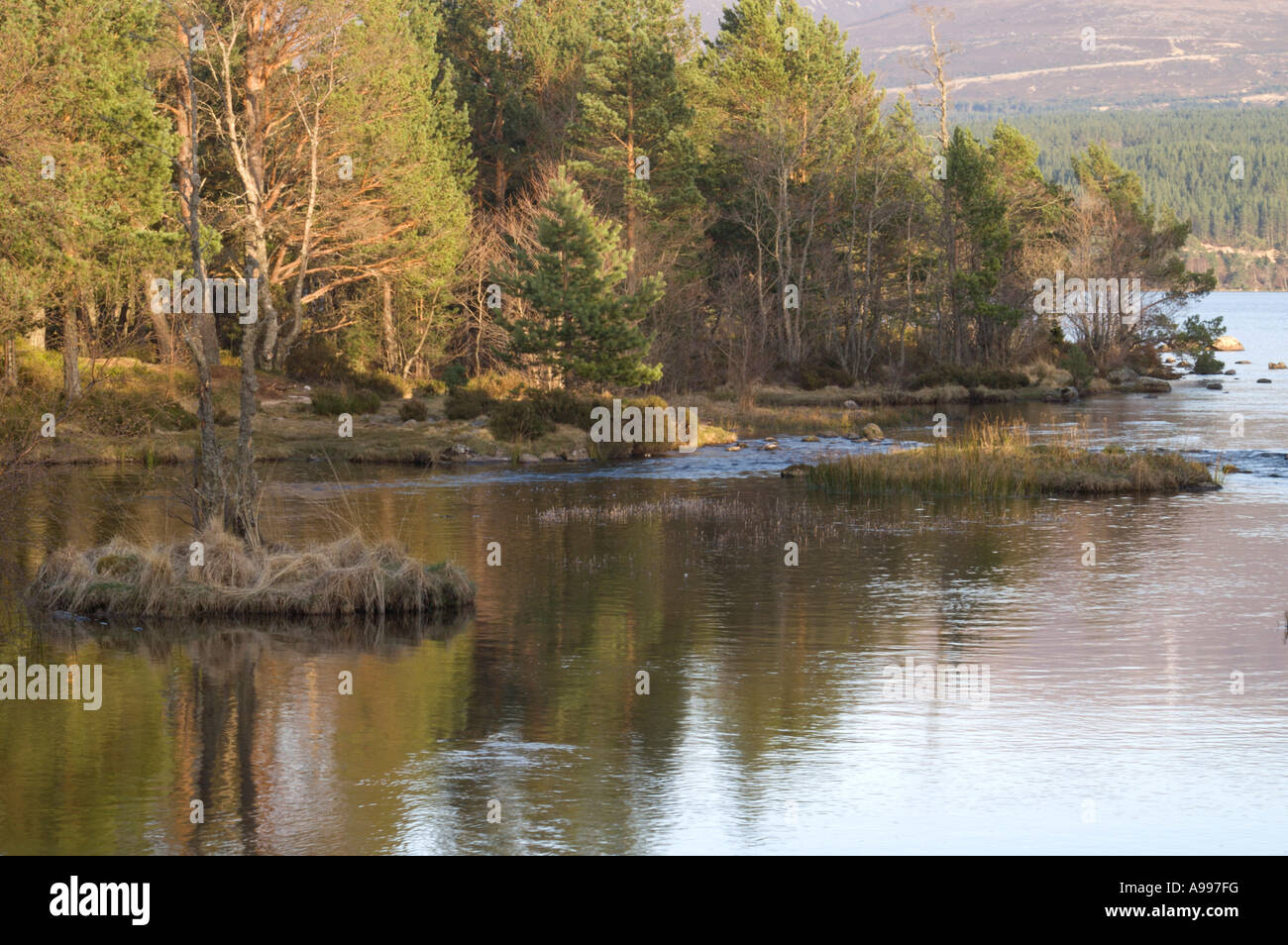 Loch Morlich Sailing High Resolution Stock Photography and Images - Alamy