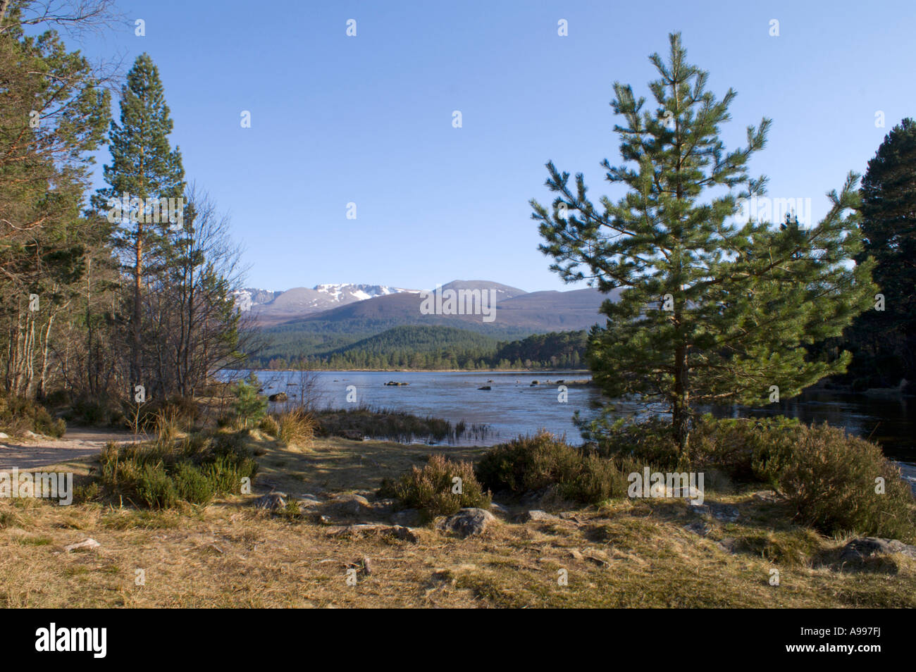 Coylembridge hi-res stock photography and images - Alamy