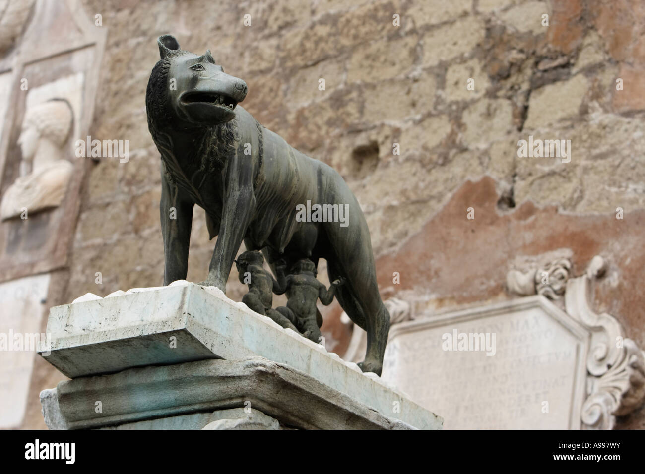 Etruscan bronze statue of the she wolf romulus remus hi-res stock ...