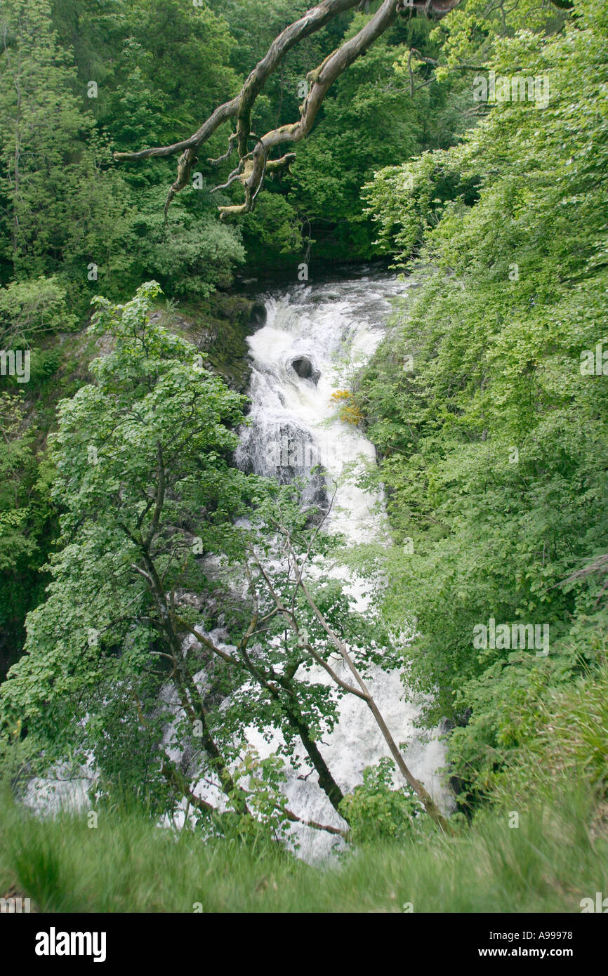 Reekie Linn waterfall Stock Photo - Alamy