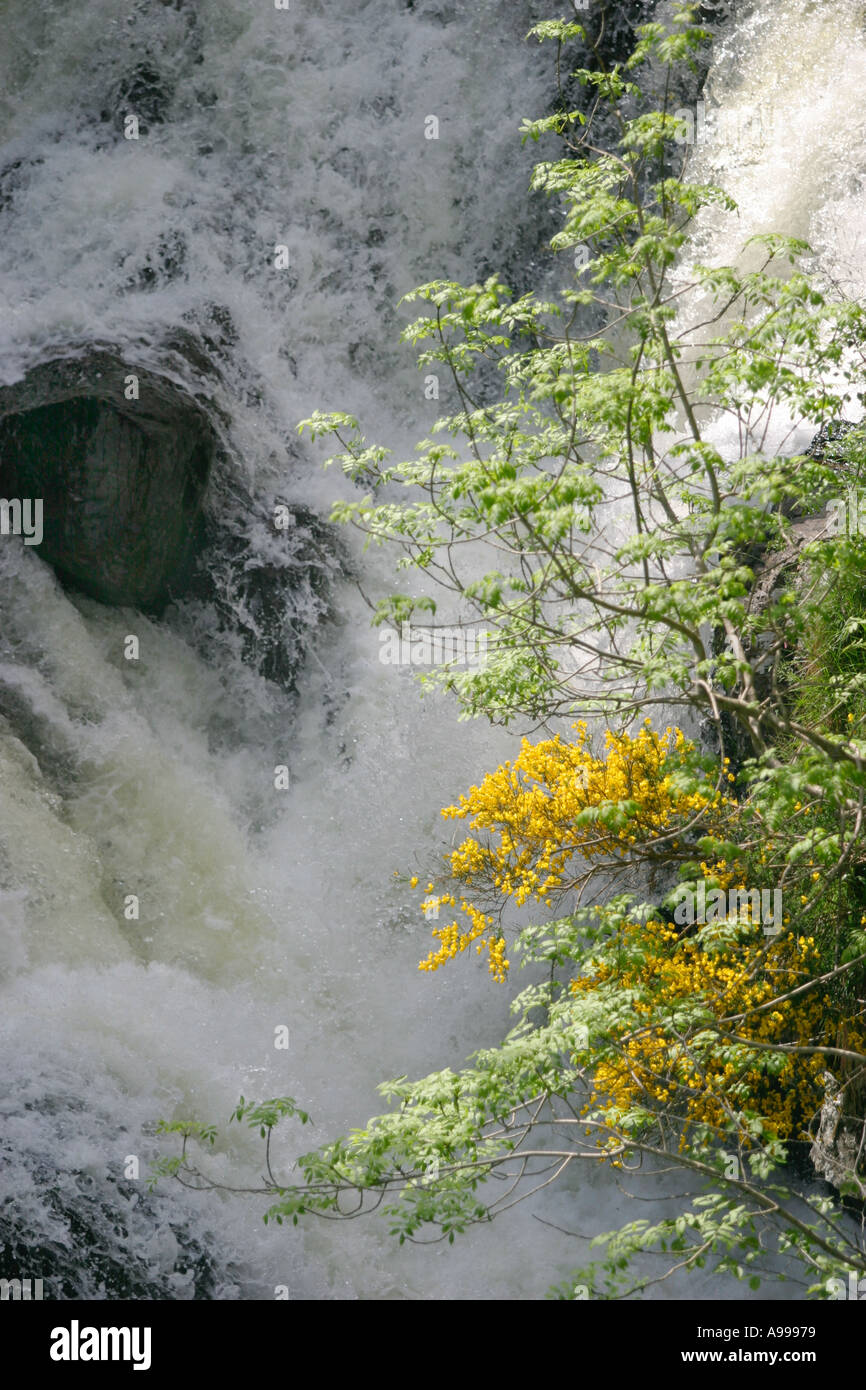 Reekie Linn waterfall Stock Photo - Alamy
