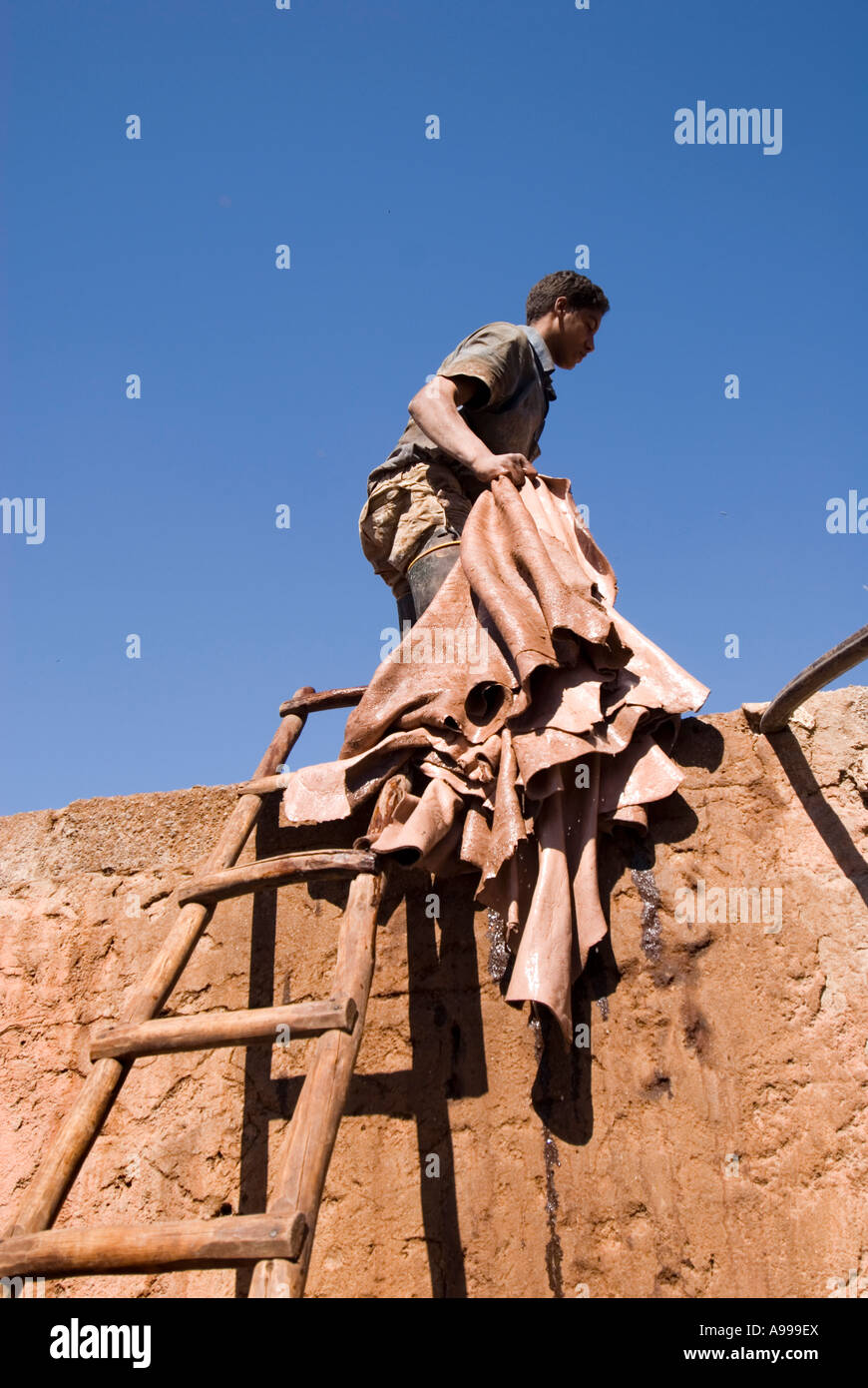 Person laying out wet treated hide on rooftops to dry in the sun at the ...
