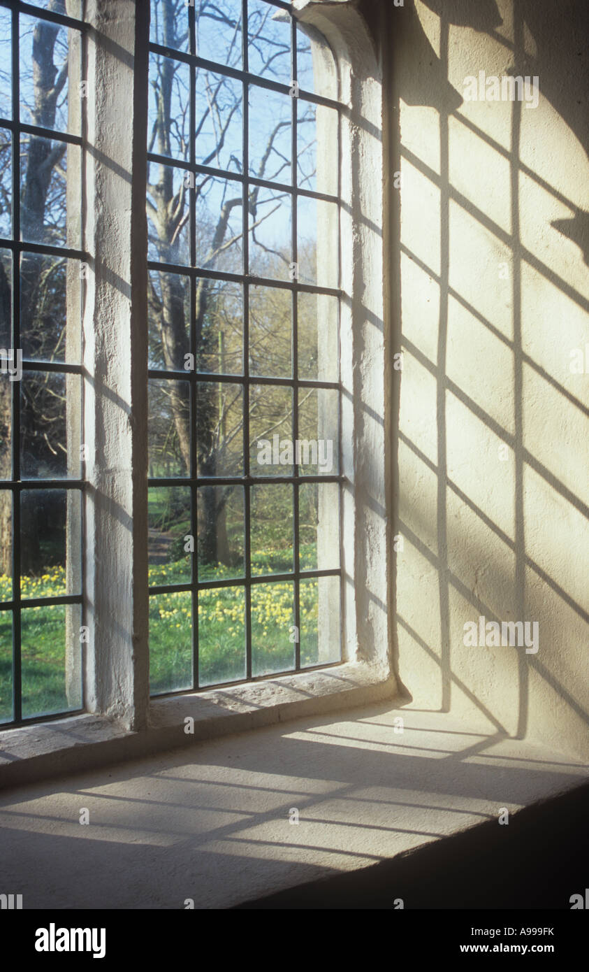 View thru small square leaded window panes to spring daffodils but bare ...