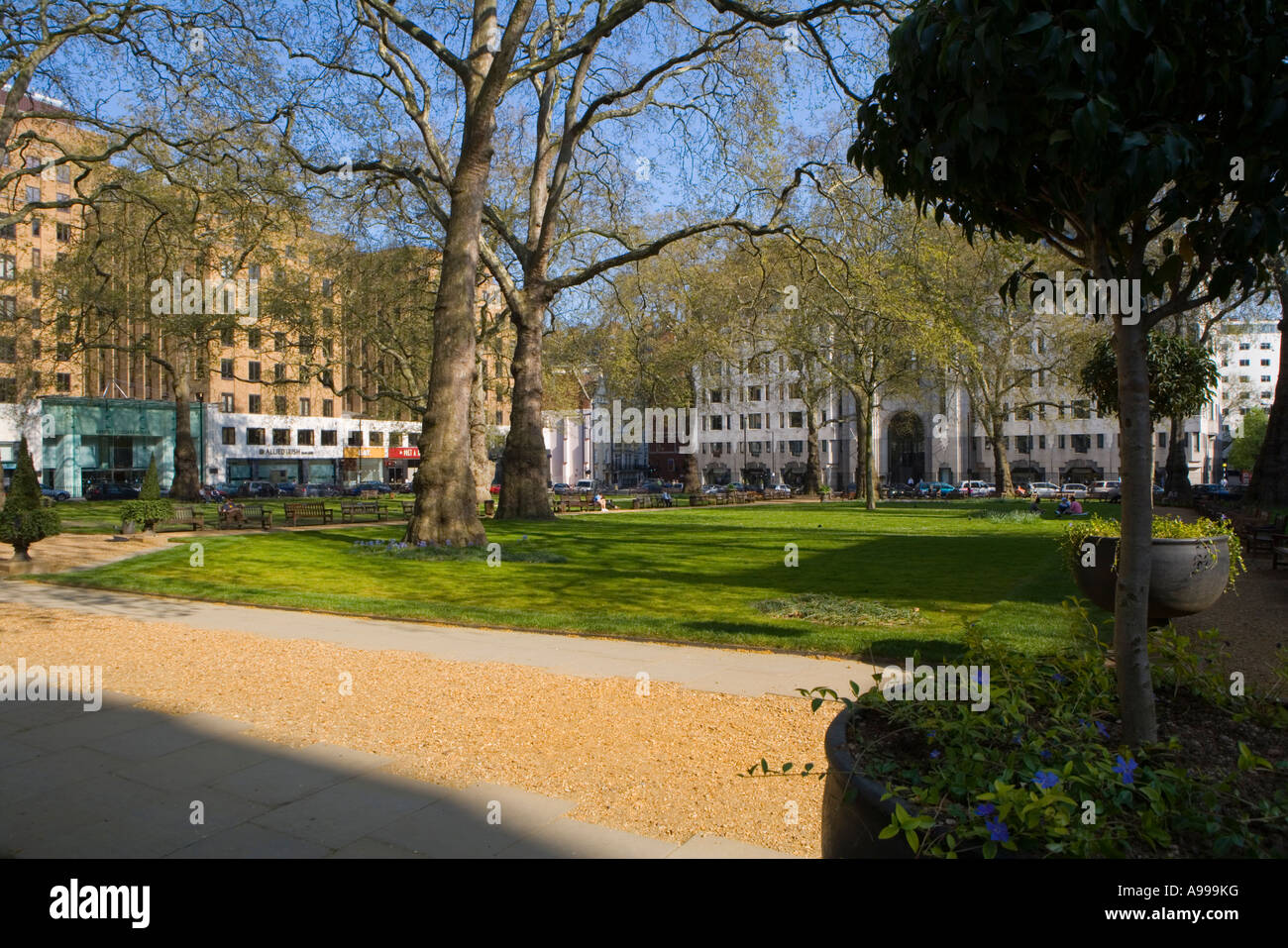 An alternative view of Berkeley Square Mayfair, London Stock Photo - Alamy