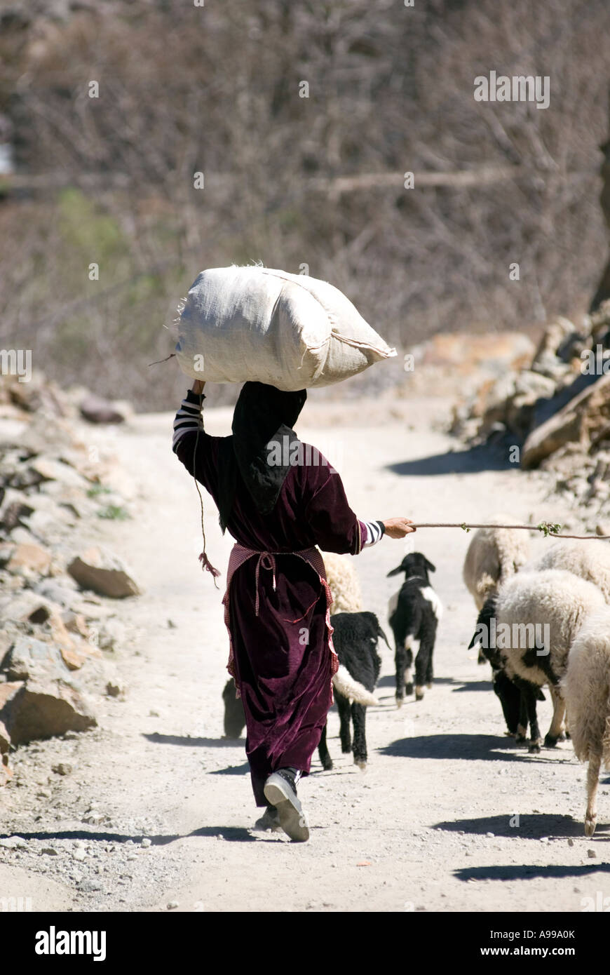 Berber village imlil in mizane hi-res stock photography and images - Alamy