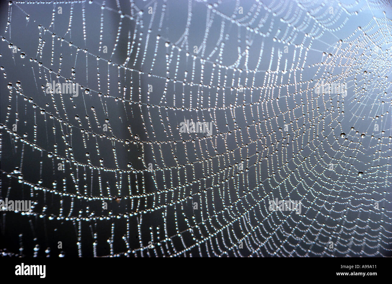 Network conections hi-res stock photography and images - Alamy