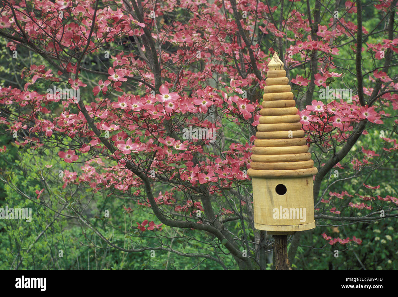 Fanciful lathe turned hackberry birdbox by pink Flowering Dogwood tree ...
