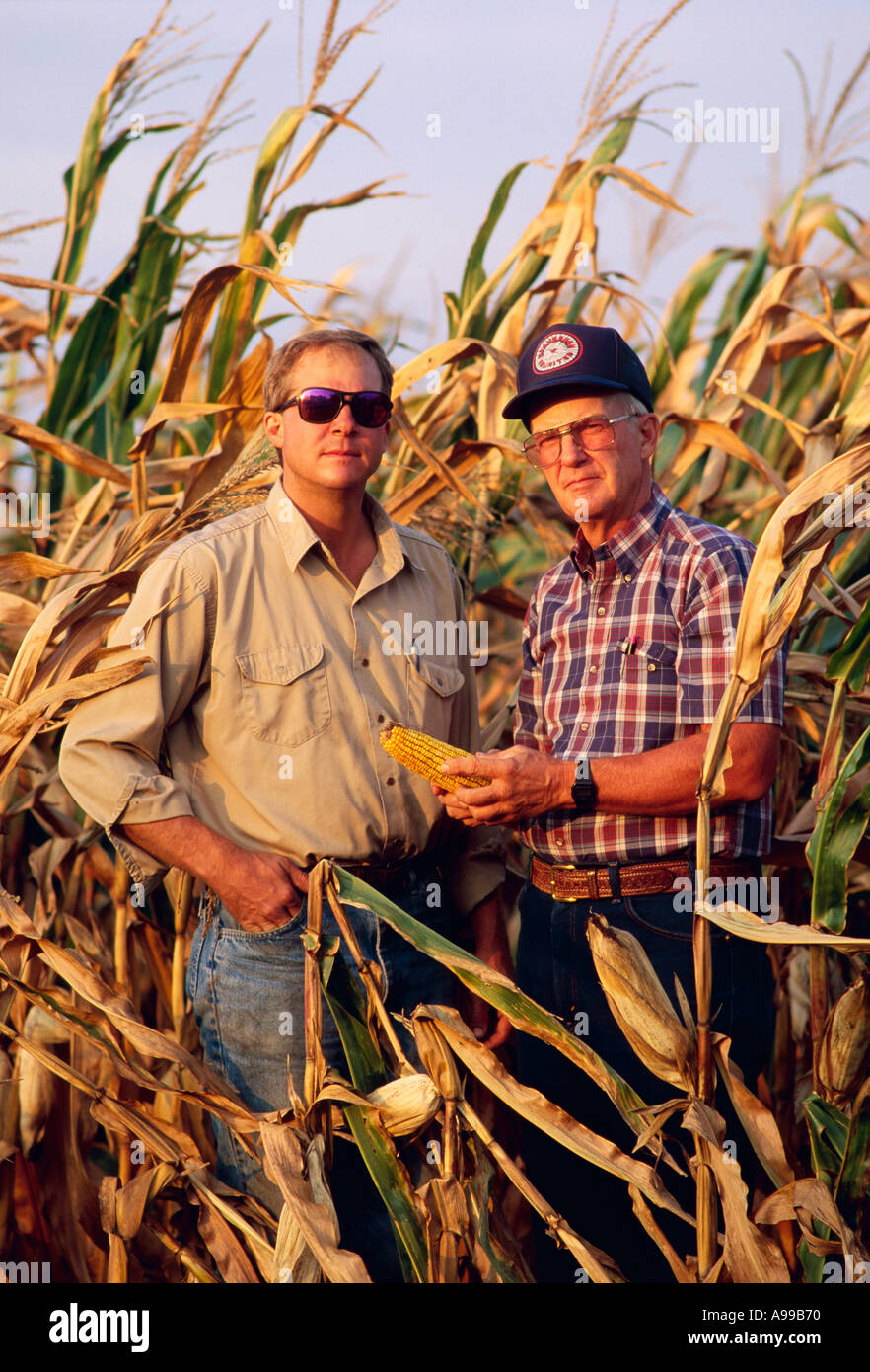 Farmers In A Corn Field