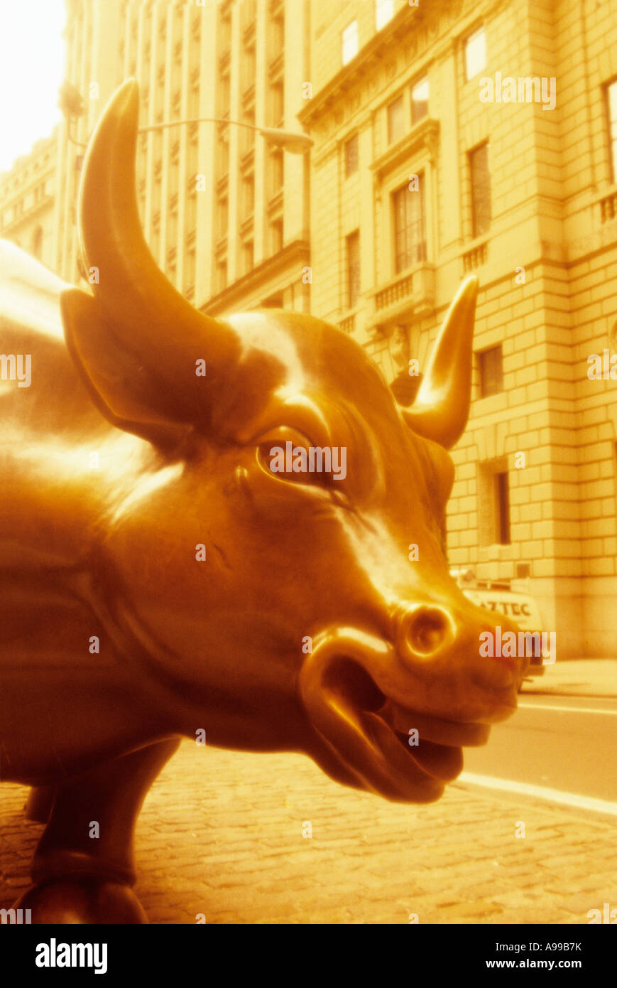 HEAD OF WALL STREET BULL STATUE, AMBER COLOR Stock Photo - Alamy