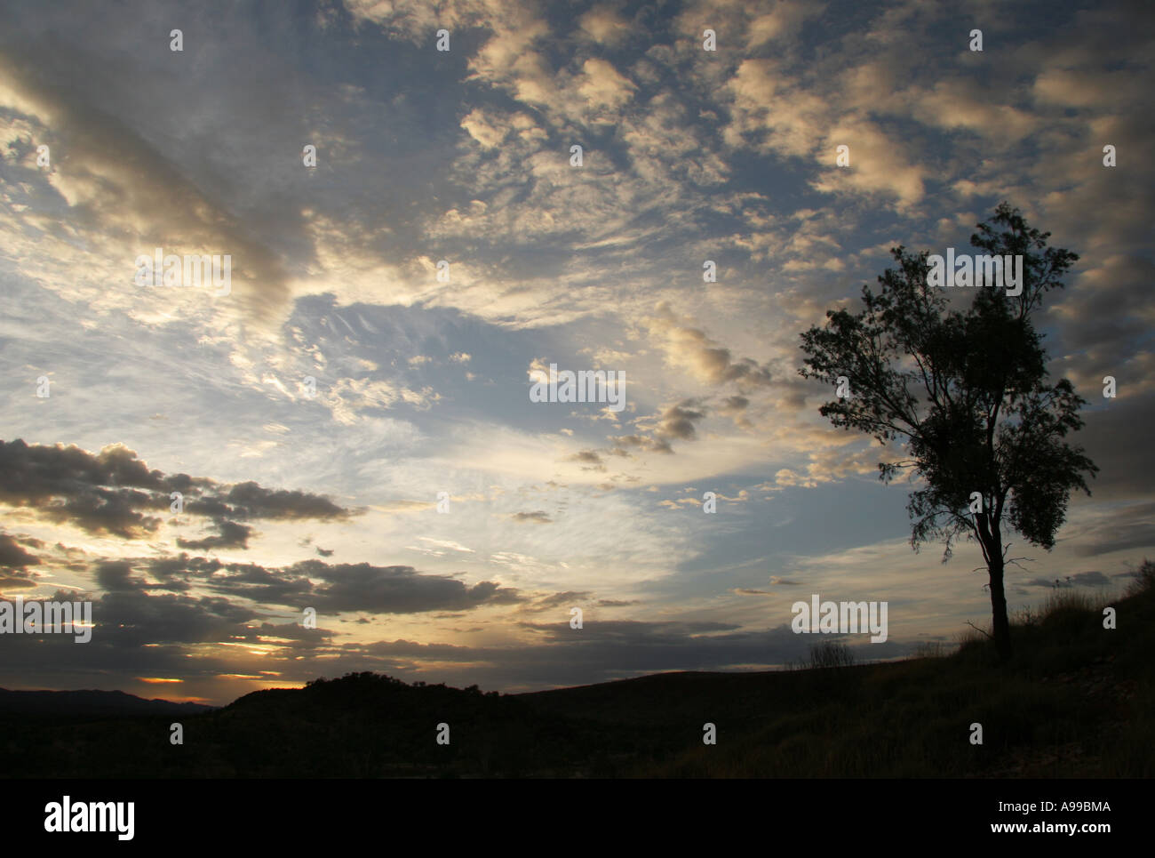 A Lonesome Tree in West MacDonnell National Park Northern Territory ...