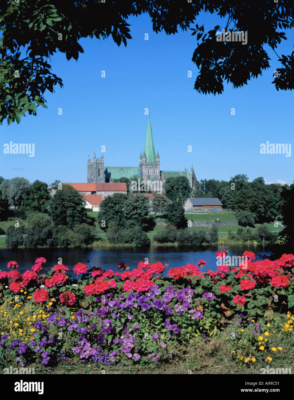 Picturesque Nidarosdomen (Nidaros Cathedral) seen over Nidelva (River ...