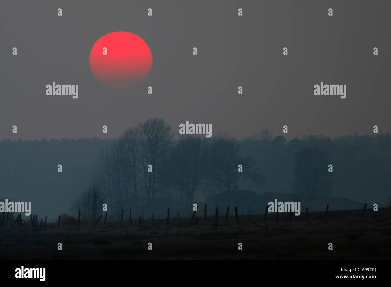 Sunset in Sweden with red moon Stock Photo - Alamy