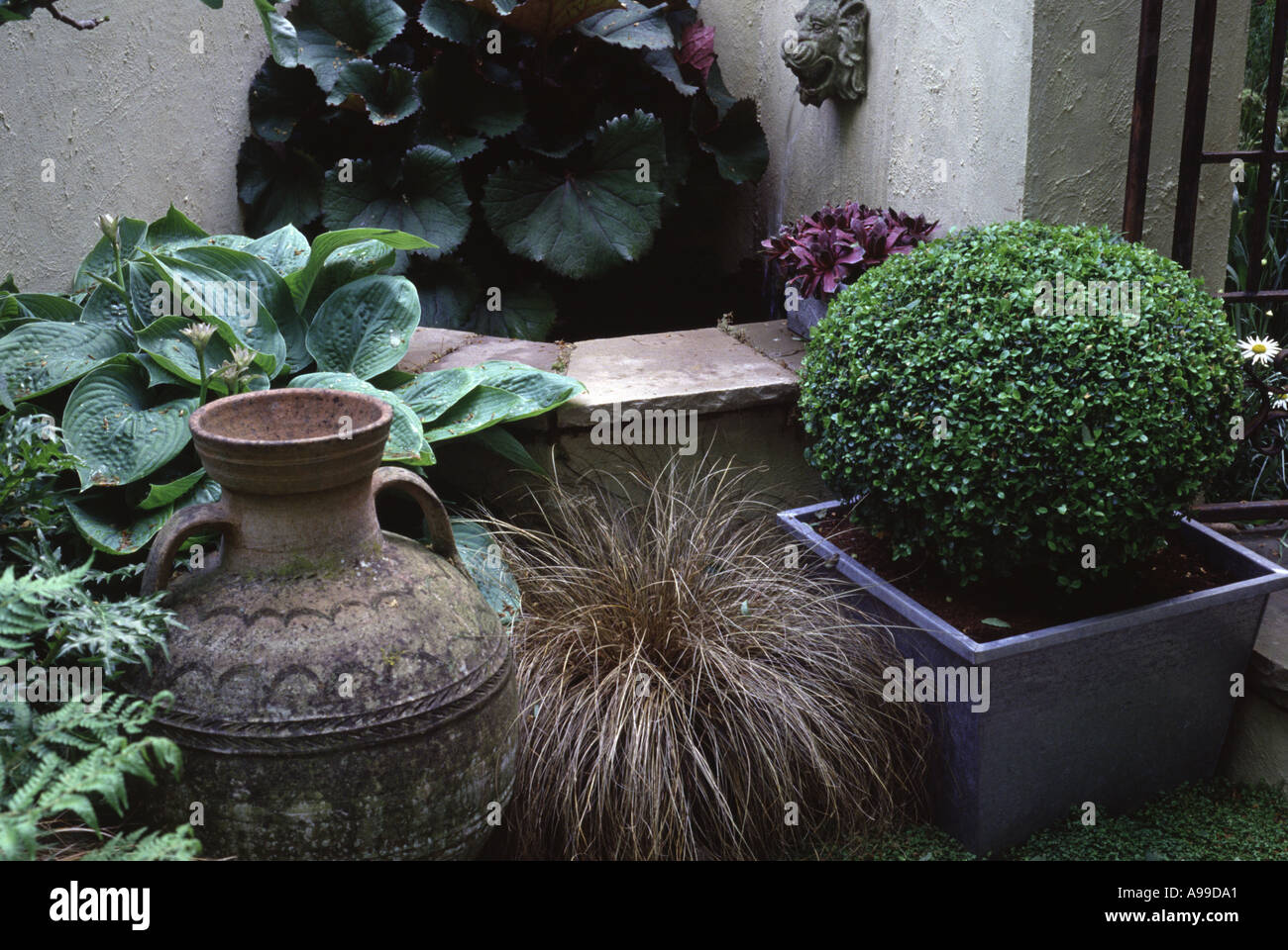 Transition Garden Courtyard area planted with damp loving plants and ...
