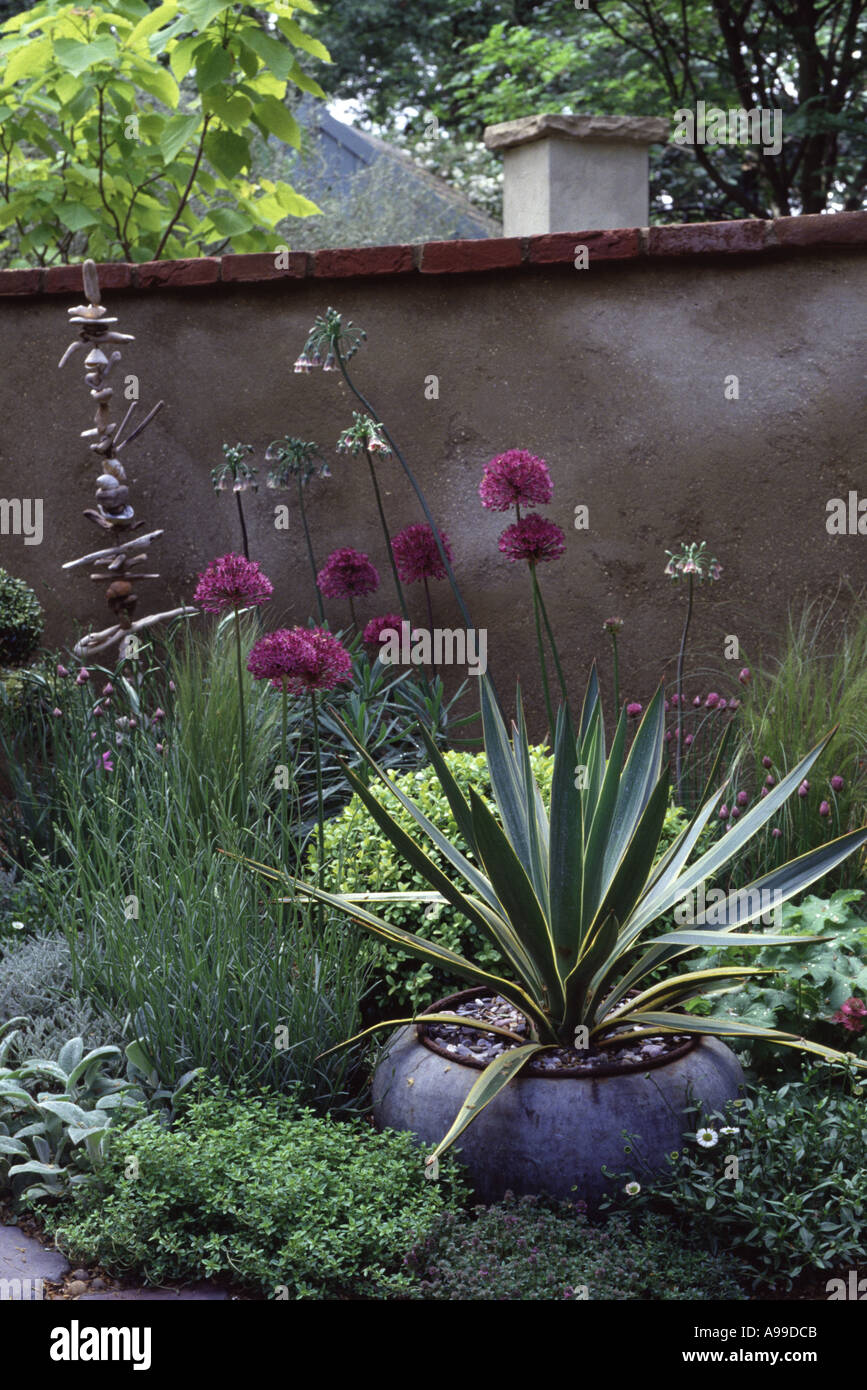 Alliums container hi-res stock photography and images - Alamy