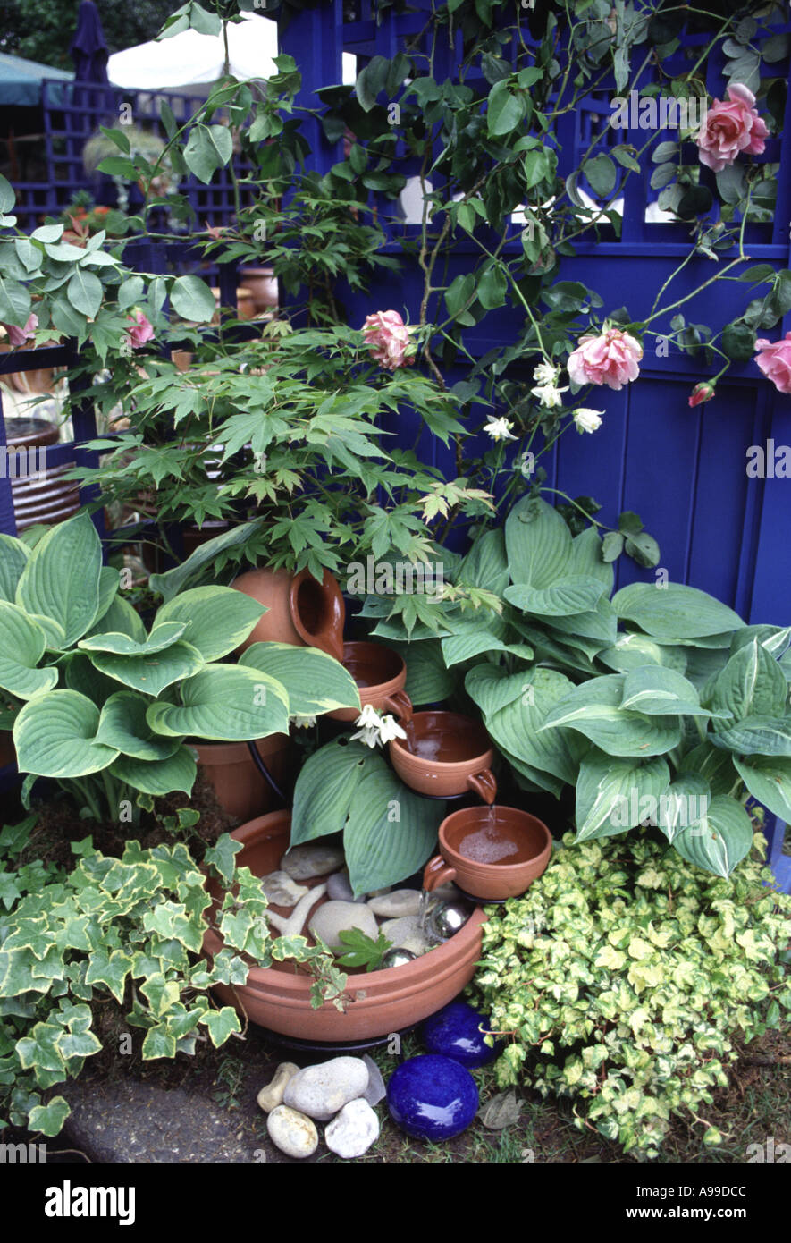Terracotta pot water feature with ivy hosta and pink climbing rose ...