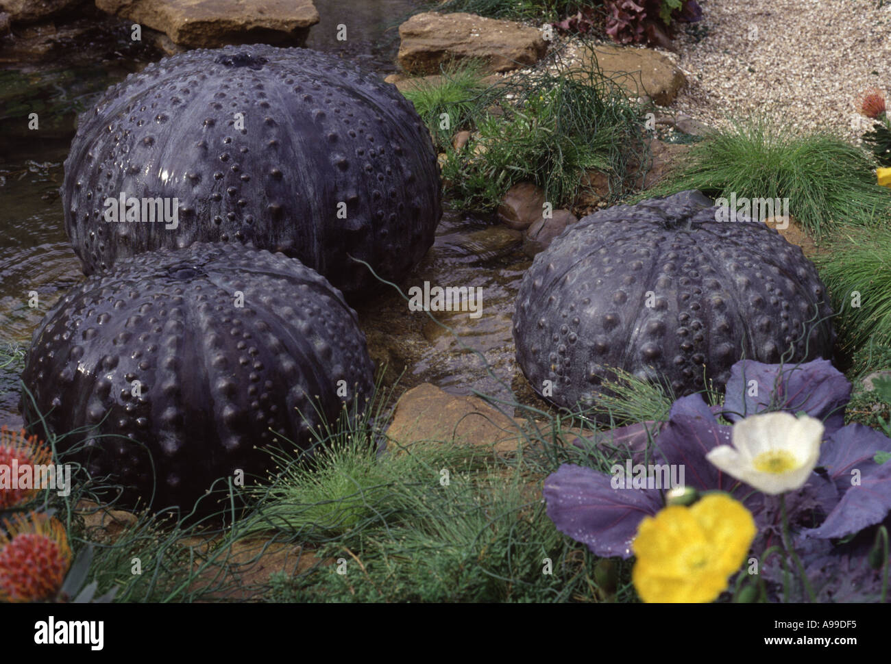 The Hamstead Octopus Garden Urchin shaped water features Chelsea Flower ...