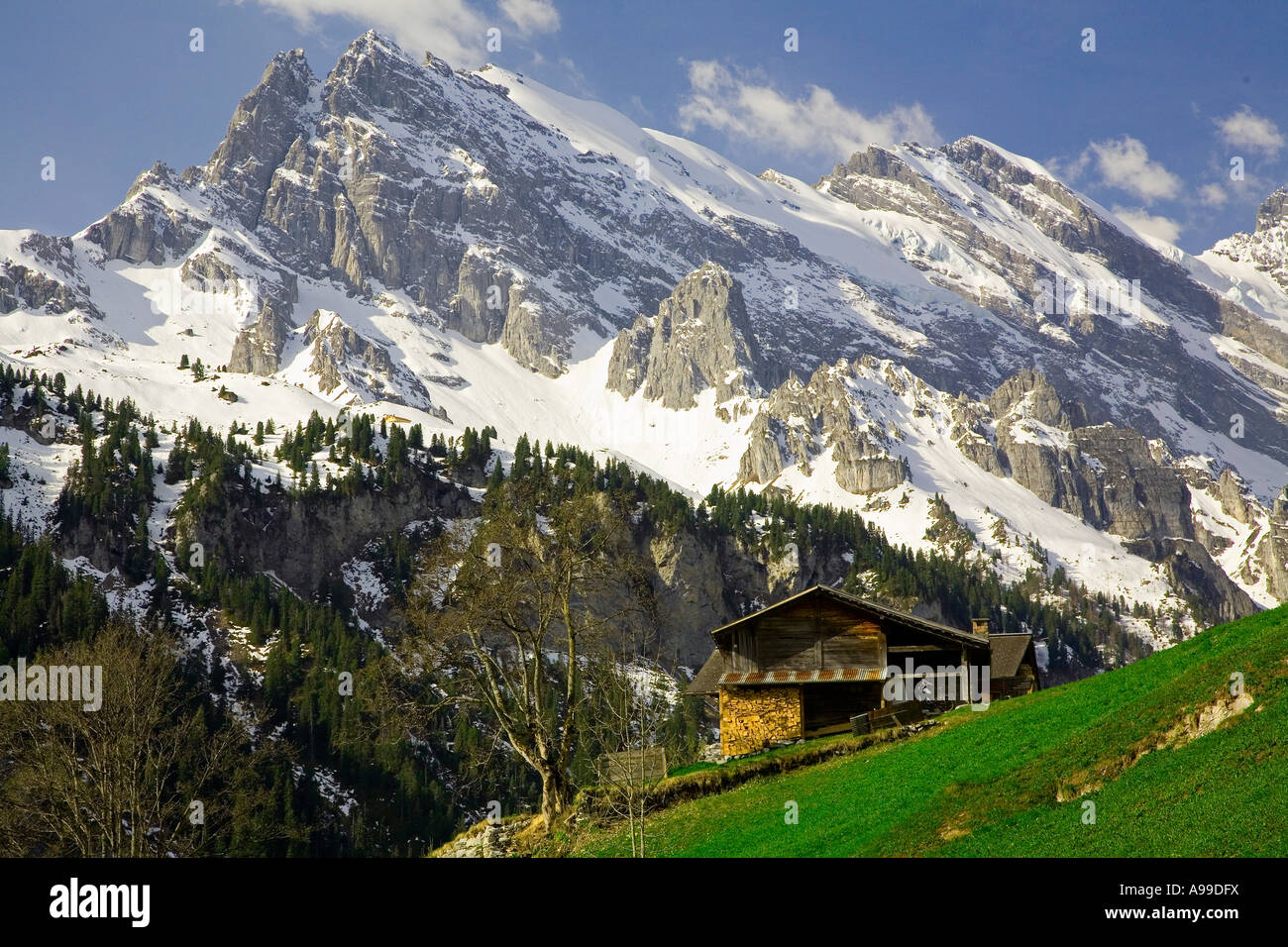 Gimmelwald, Switzerland Stock Photo - Alamy