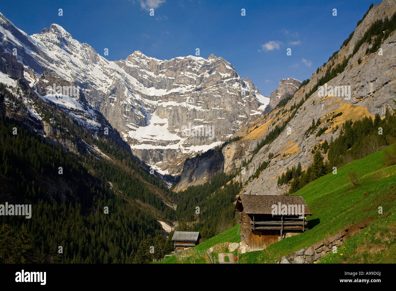 Gimmelwald, Switzerland Stock Photo: 12294545 - Alamy