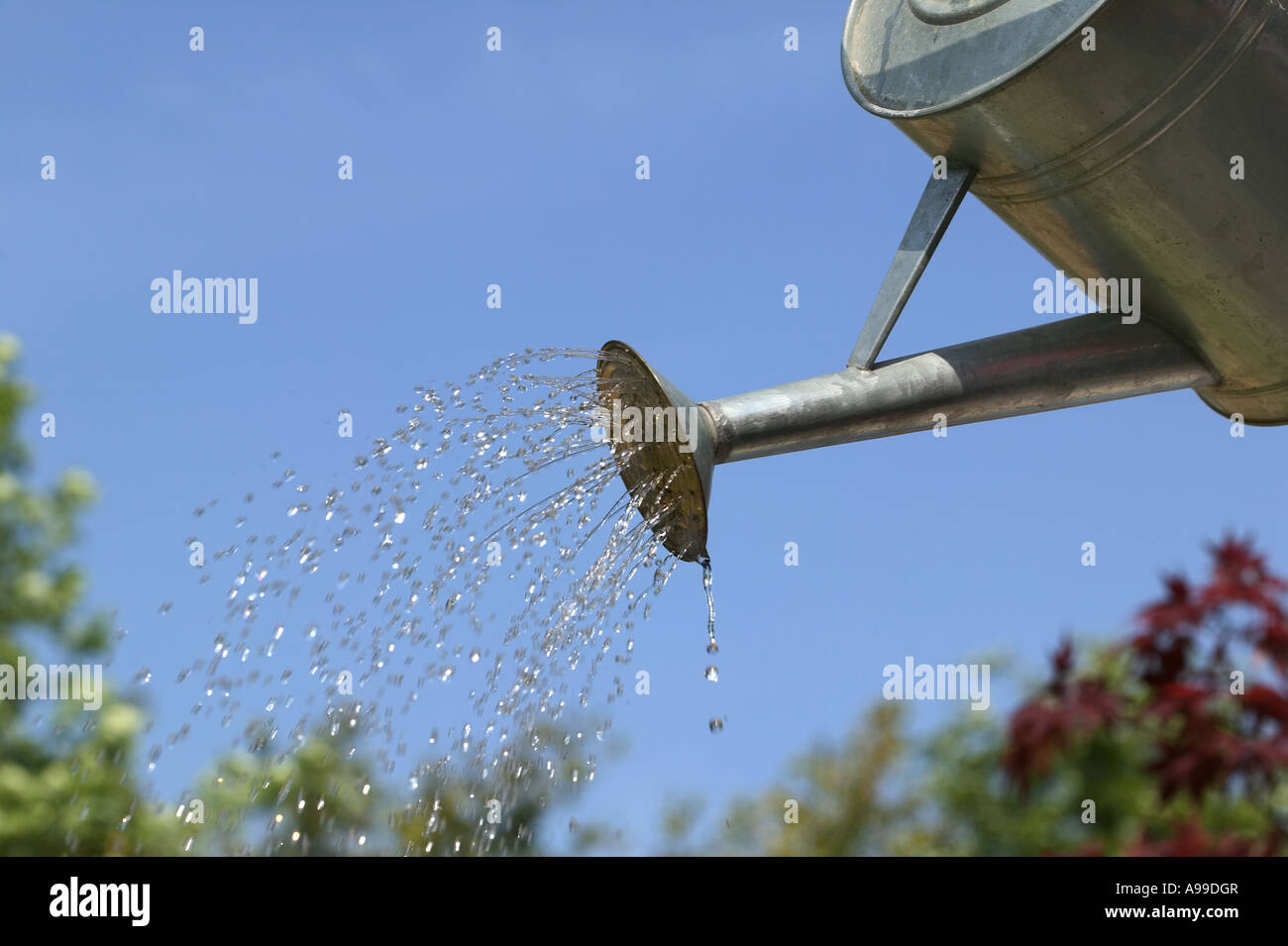 Water trickling from a watering can against a bright blue sky Stock ...