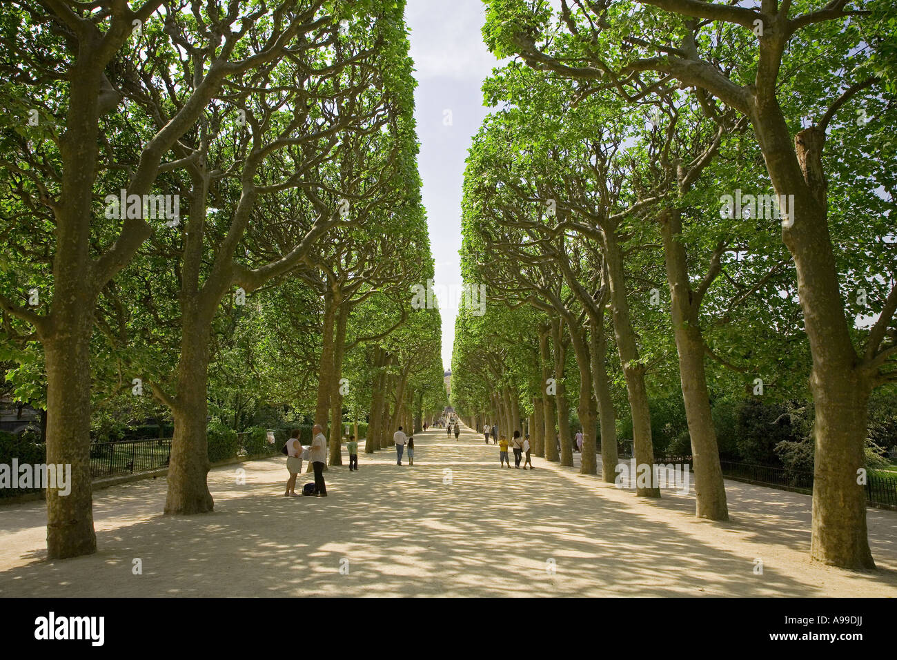 city park near Natural History Museum, Paris, France Stock Photo - Alamy