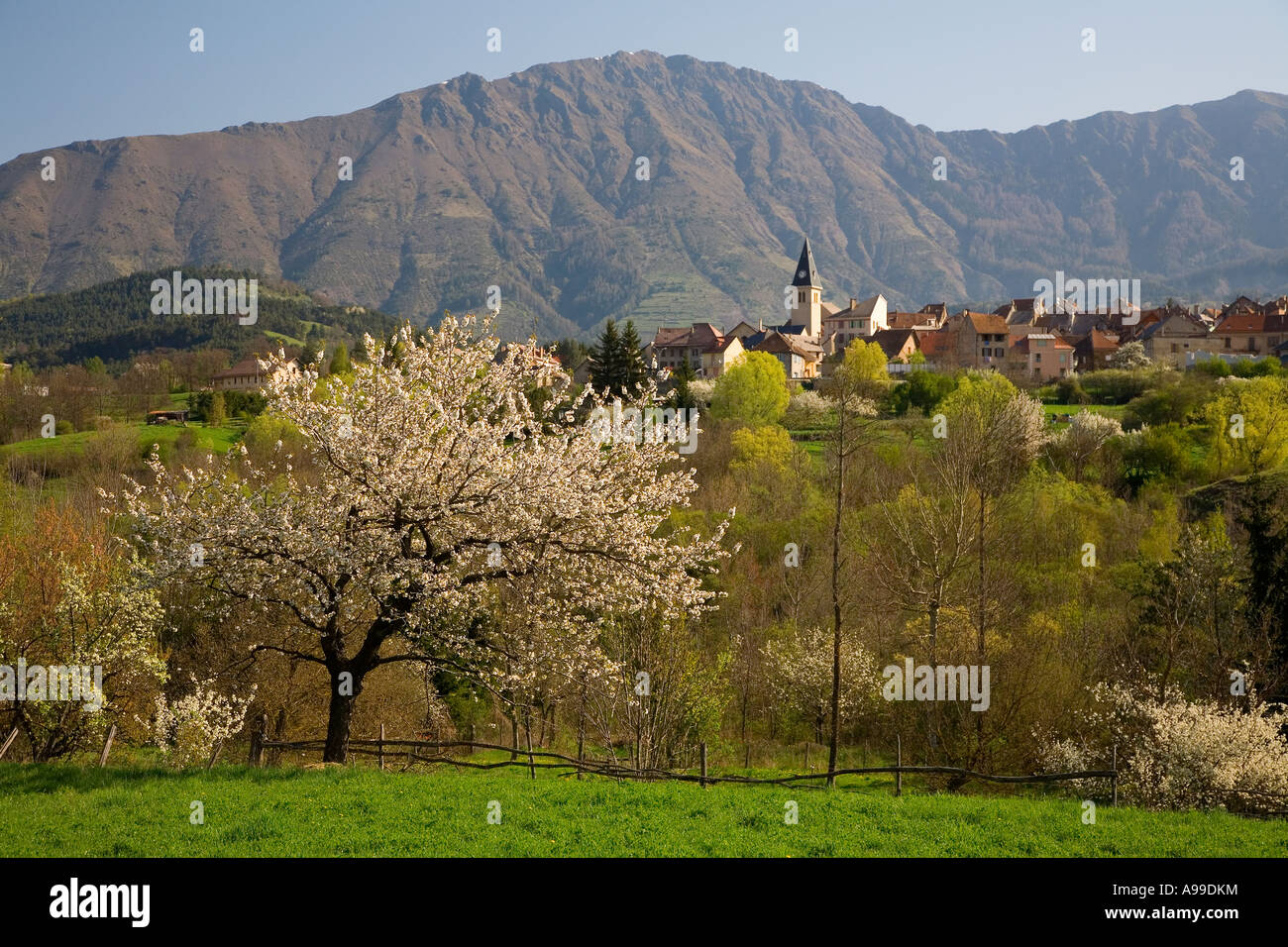 spring countryside near St. Bonnet, Haute Alpes region, France Stock ...