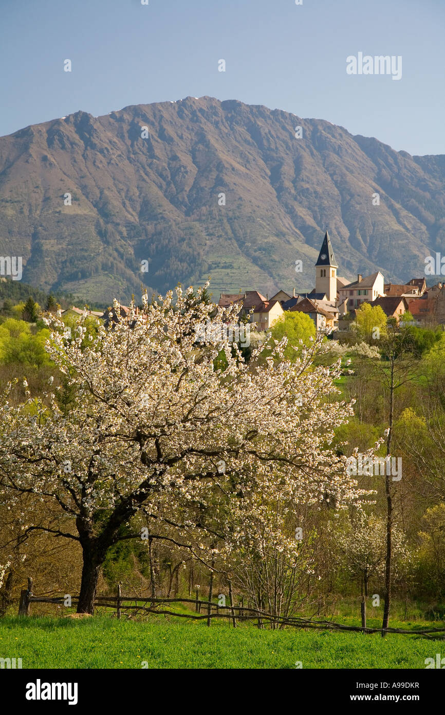 spring countryside near St. Bonnet, Haute Alpes region, France Stock ...